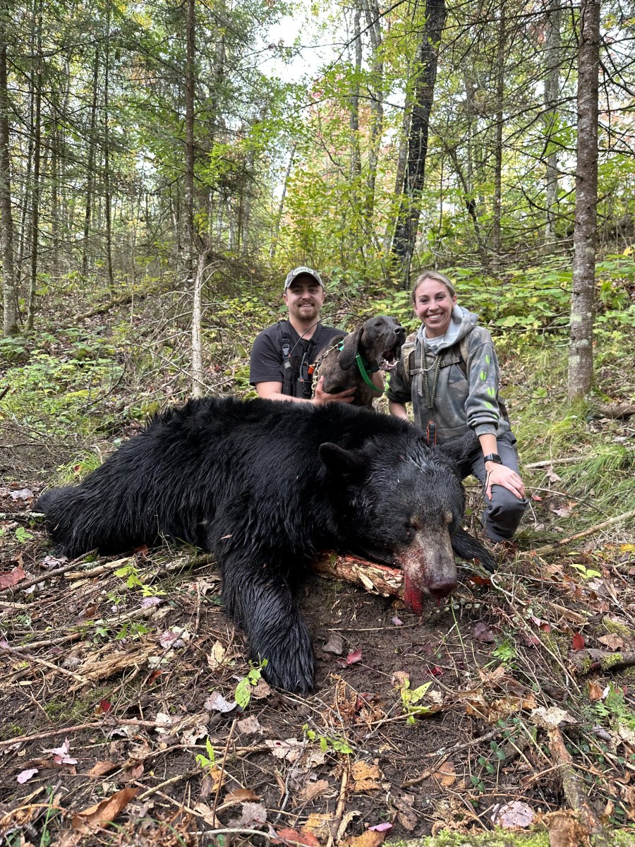 Mitch Dequaine Bear – Outside TG