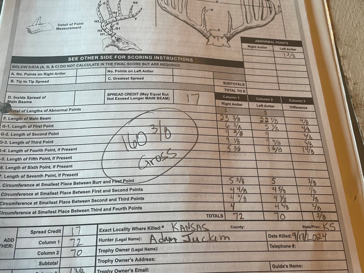 TG Buck Pool – Outside TG