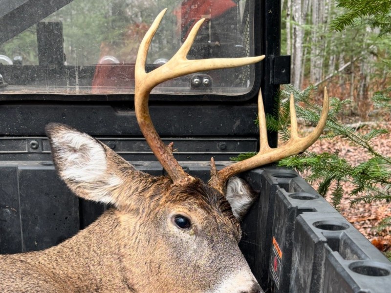 TG Buck Pool – Outside TG