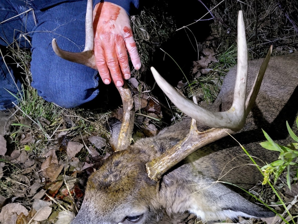 TG Buck Pool – Outside TG